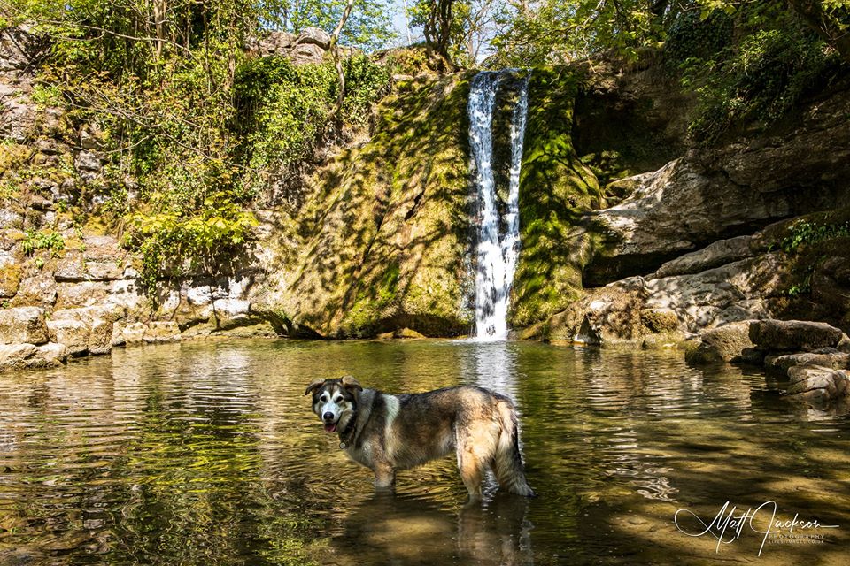 Visit Settle - Janet's Foss