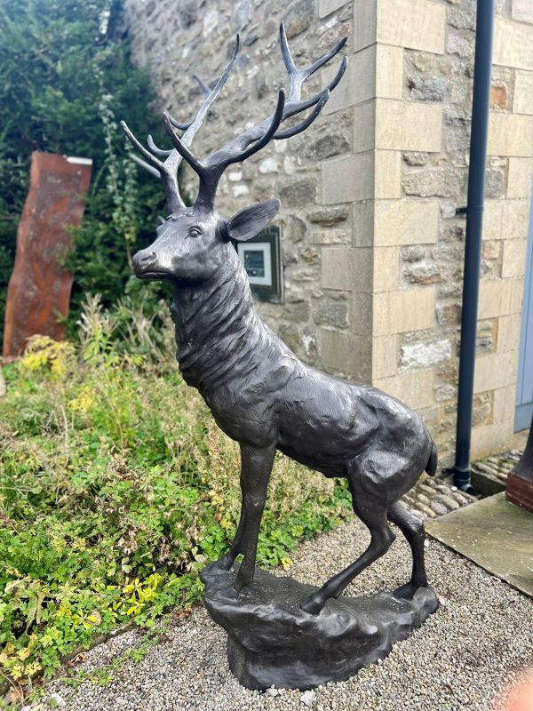 Visit Settle - Lords Courtyard near Settle in the Yorkshire Dales.