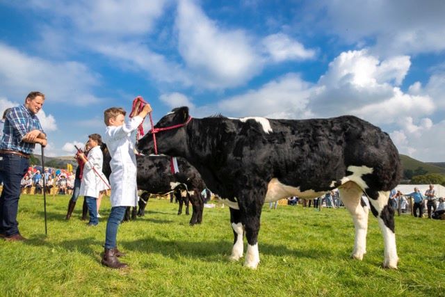 Visit Settle - Fabulous Festivals