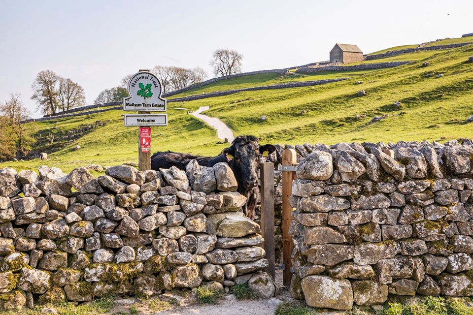 Visit Settle - Malham Tarn