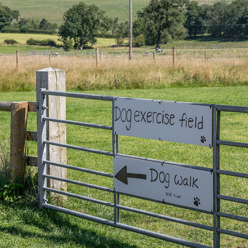 Visit Settle - Orcaber Farm Caravan & Camping Site, Austwick, near Settle