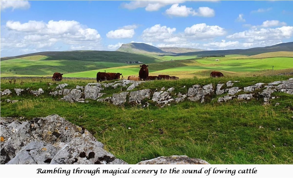 Visit Settle - a vibrant market town in the Yorkshire Dales