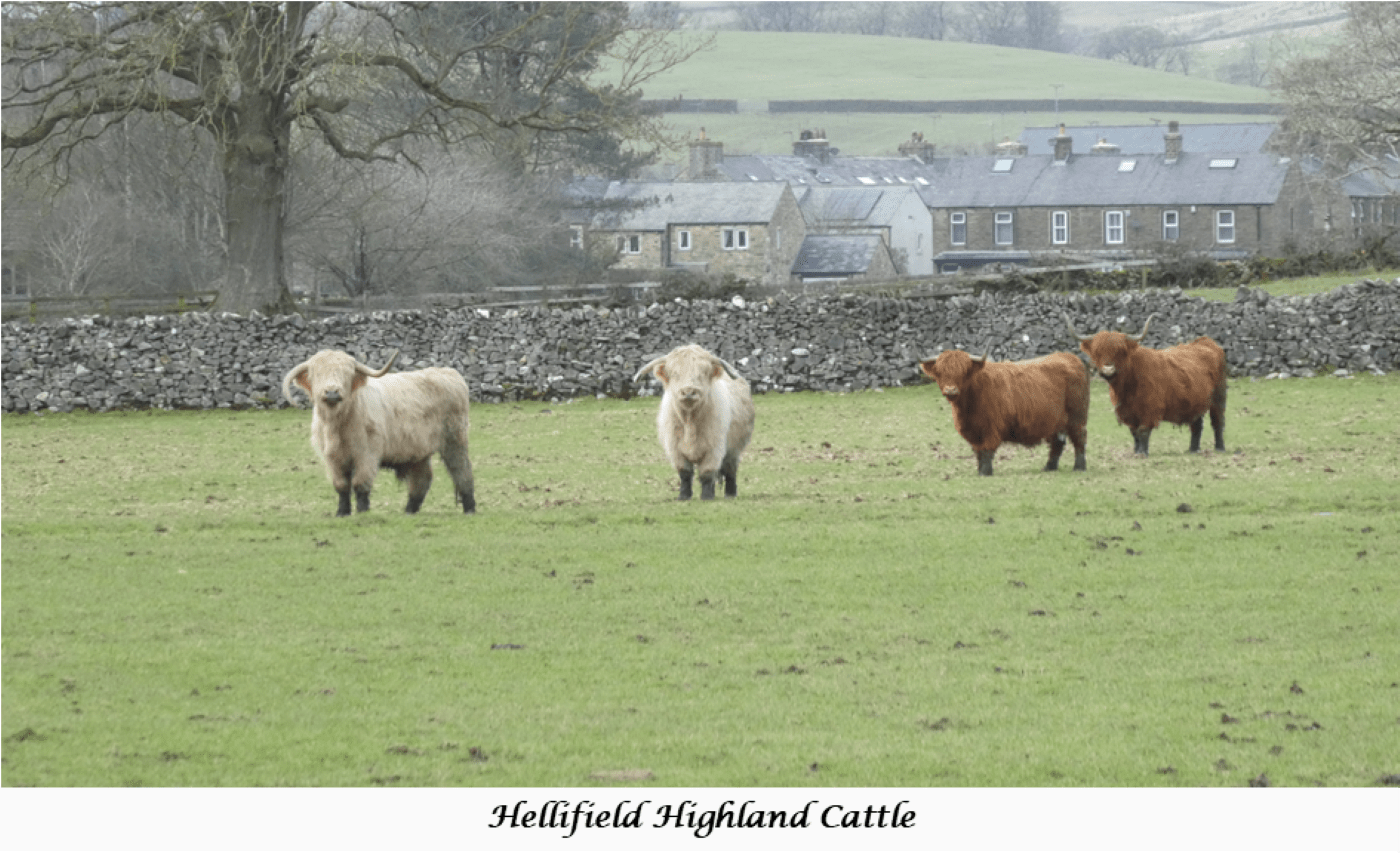 Visit Settle - Hellifield