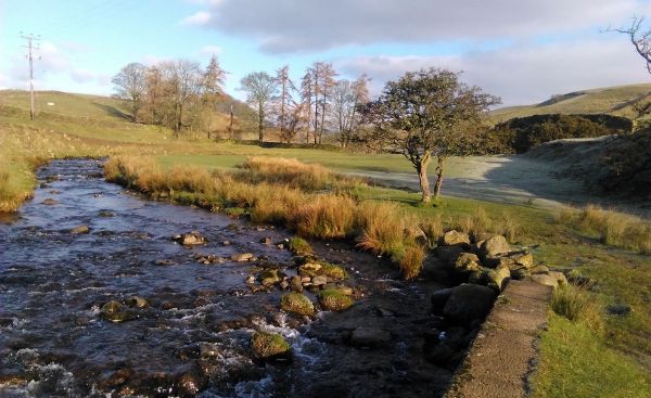 Visit Settle - Walks in the Settle Area