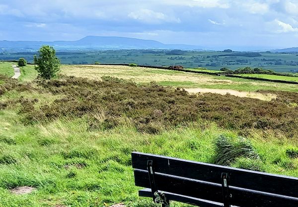 Visit Settle - Walks in the Settle Area