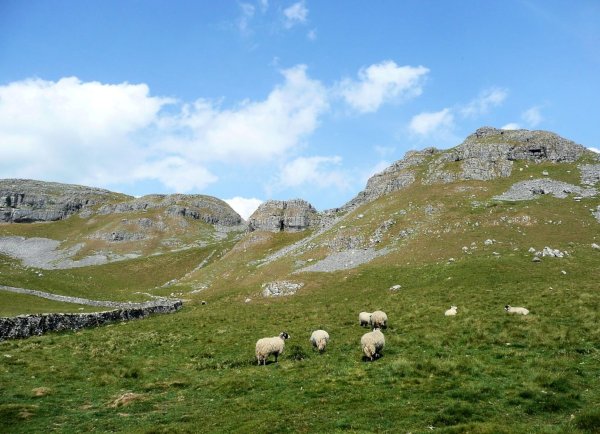 Visit Settle - Walks in the Settle Area