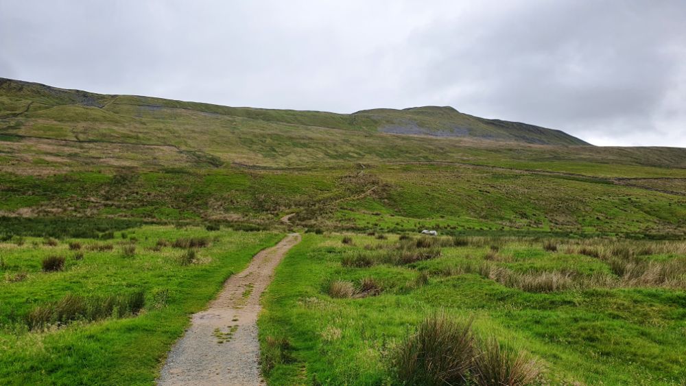 Visit Settle - Whernside