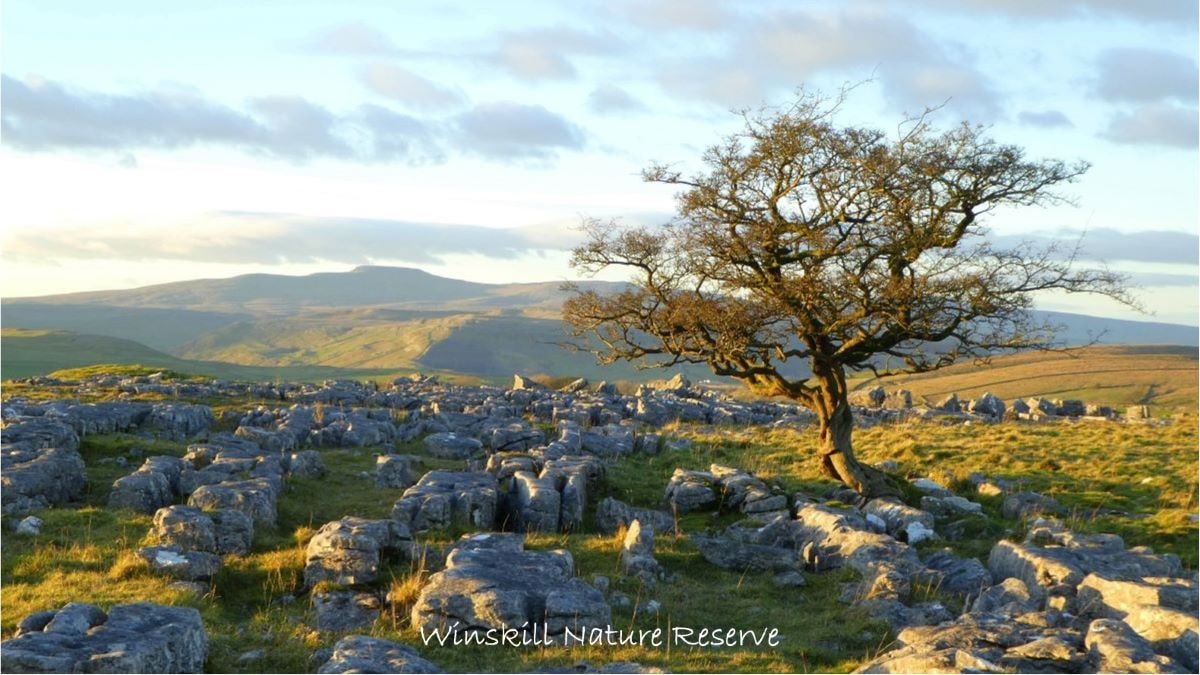 Visit Settle - a vibrant market town in the Yorkshire Dales